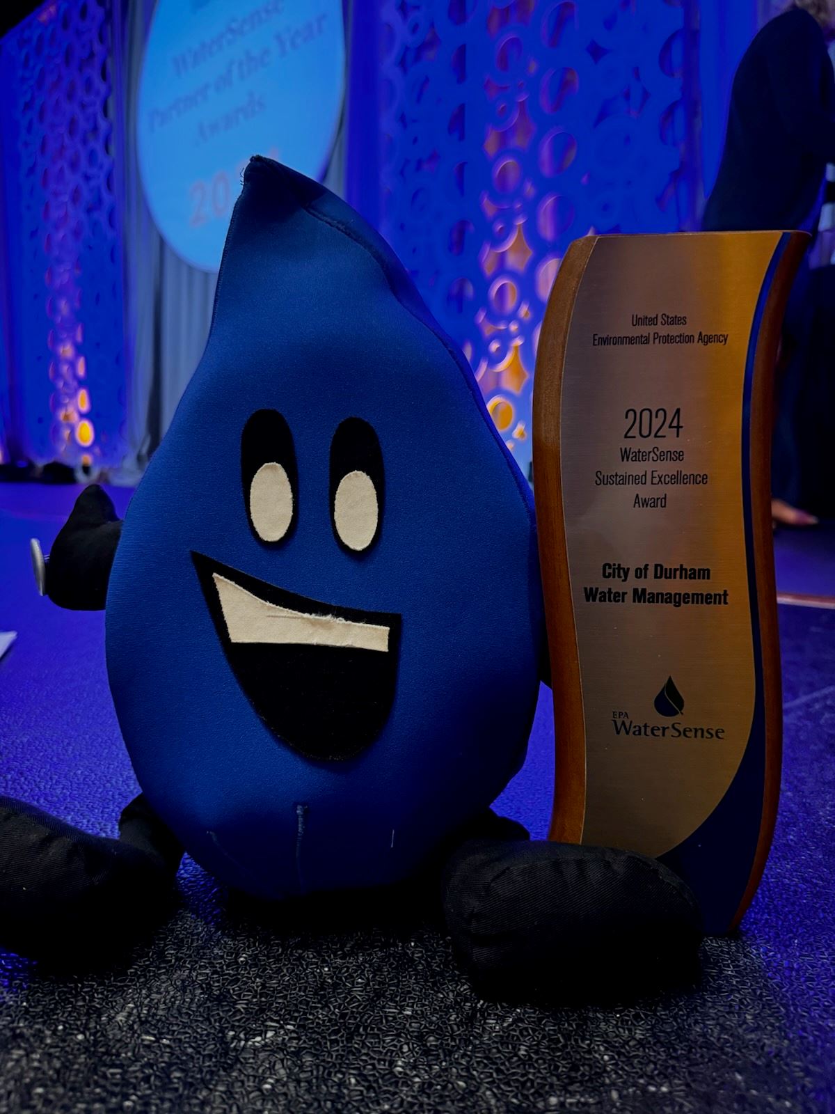 Durham Water Management Earns Second Excellence Award - Southpoint Access